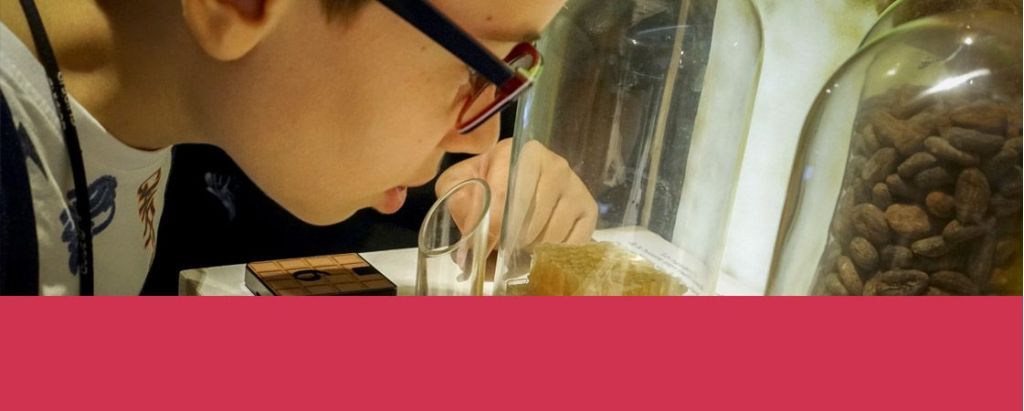 Office de tourisme de Colmar en Alsace - Accueil